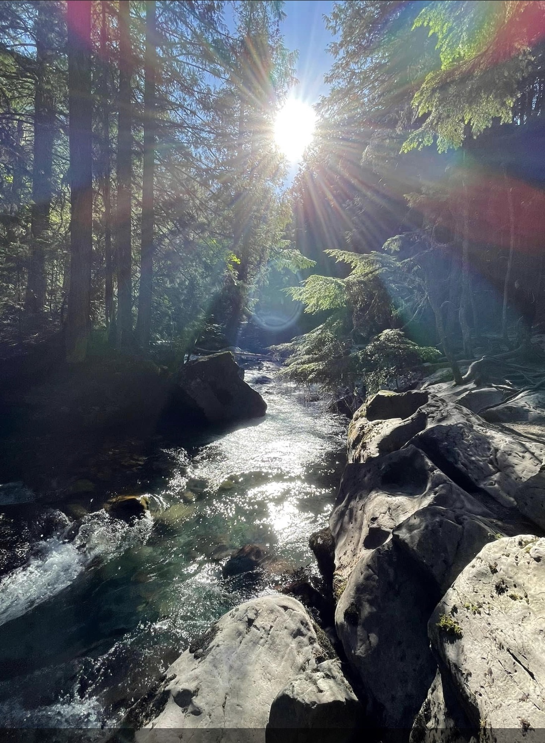 Intuitive Connection Sessions – Guidance from within